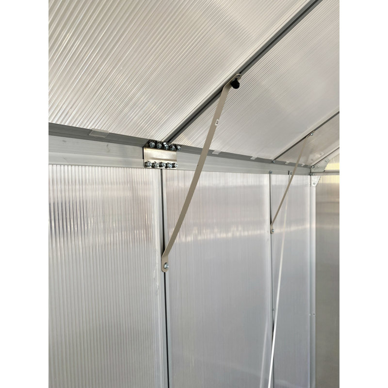 Creationstry 250" x 190" Greenhouse | Wayfair